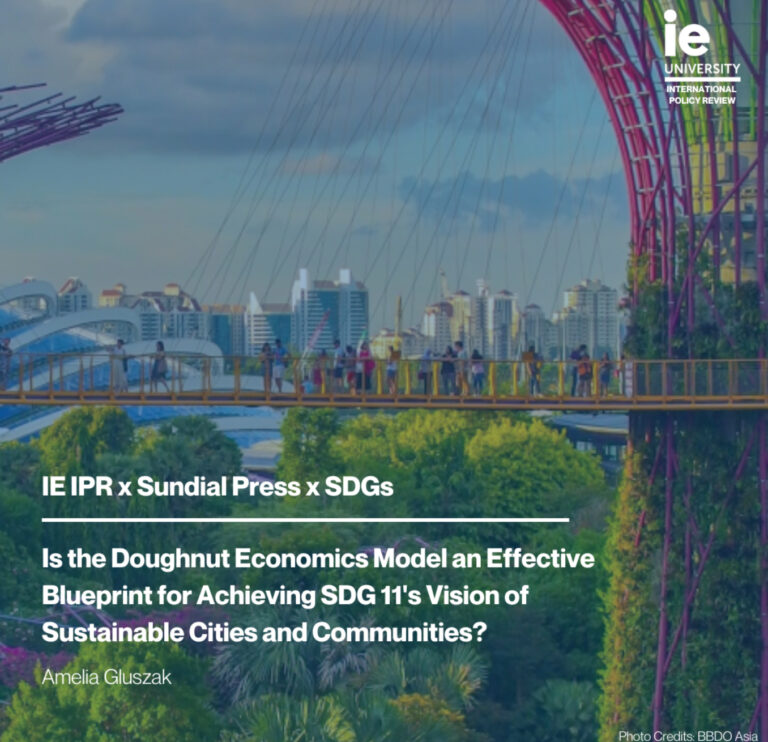 Is the Doughnut Economics Model an Effective Blueprint for Achieving ...